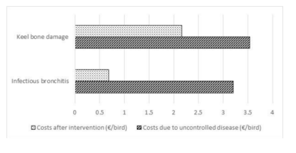 Blog #1: Integrated Solutions for Infectious Bronchitis Management in ...
