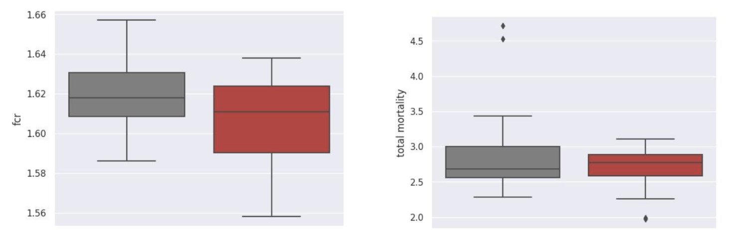 Blog #1: Integrated Solutions for Infectious Bronchitis Management in ...