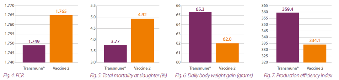 Symptoms of Infectious Bursal Disease (IBD) | Clinical Signs Gumboro