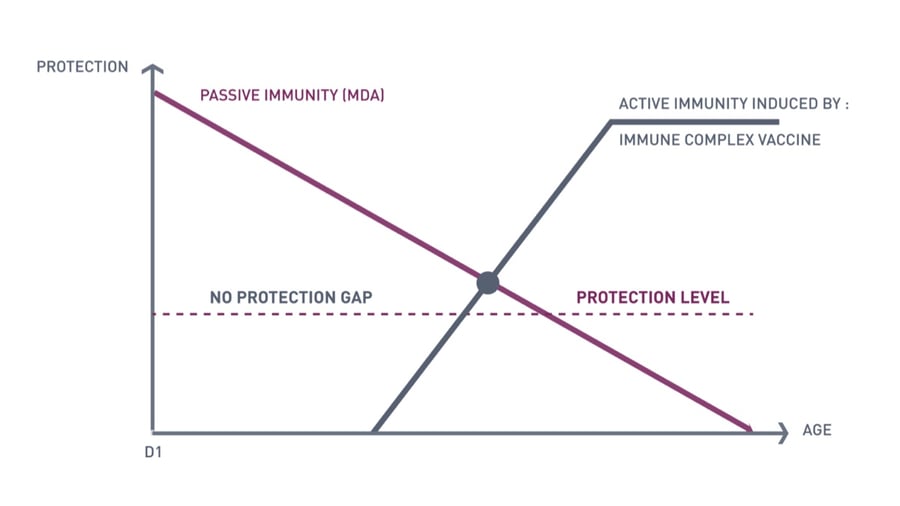 Different Types of Gumboro Vaccines | Varieties of IBD Vaccines