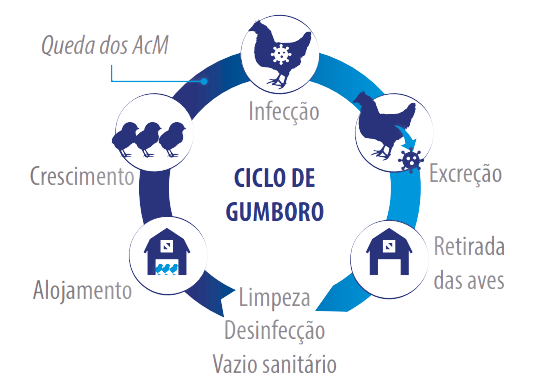 Fatores Estratégicos no Controle da Doença de Gumboro