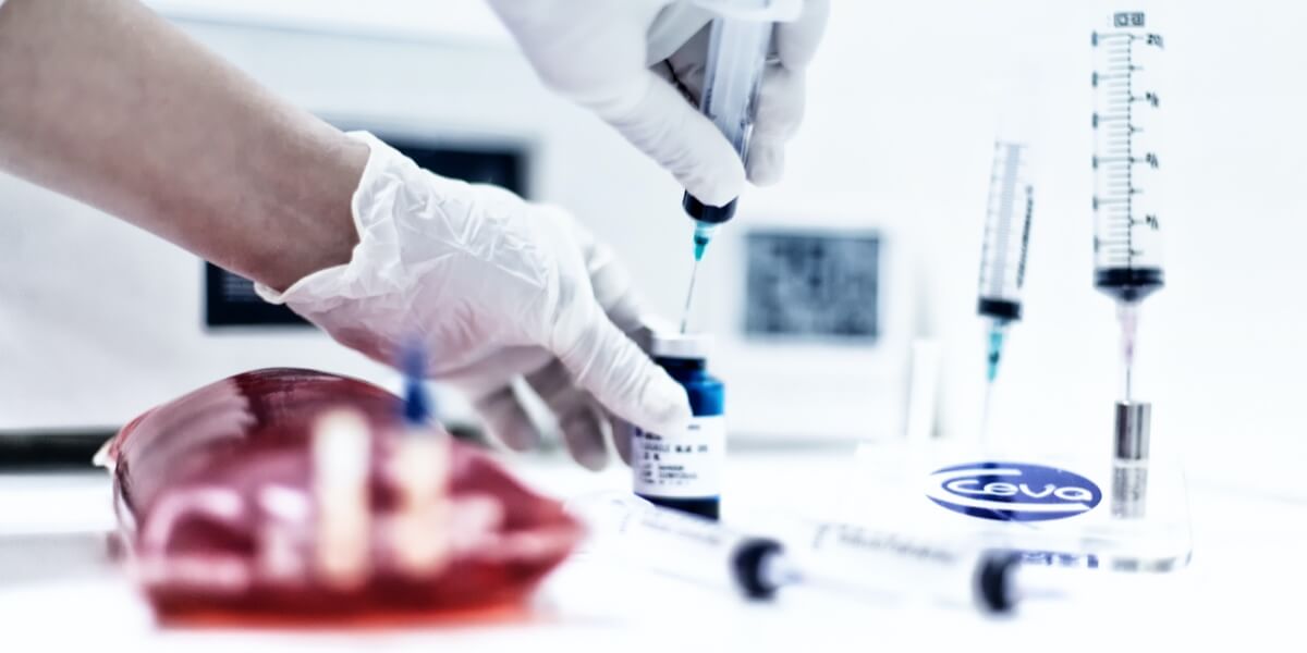 Different Types of Gumboro Vaccines | Varieties of IBD Vaccines